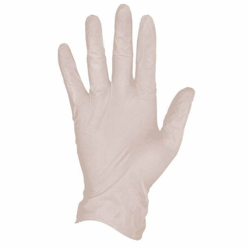 Stretch PF Vinyl Examination Glove - RCR